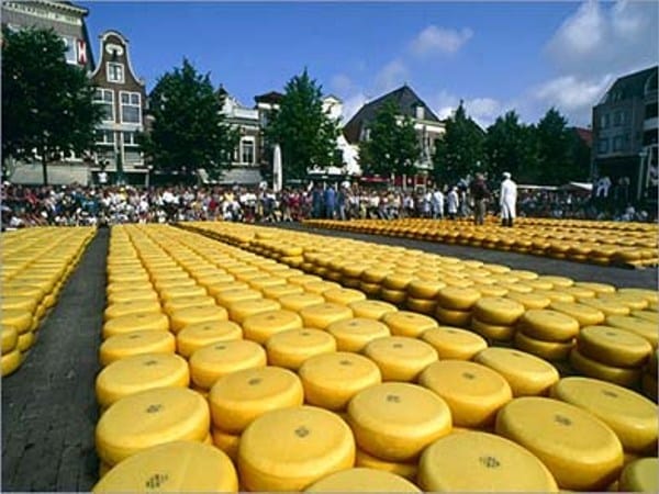 Amsterdam : visitez le marché du fromage le plus connu